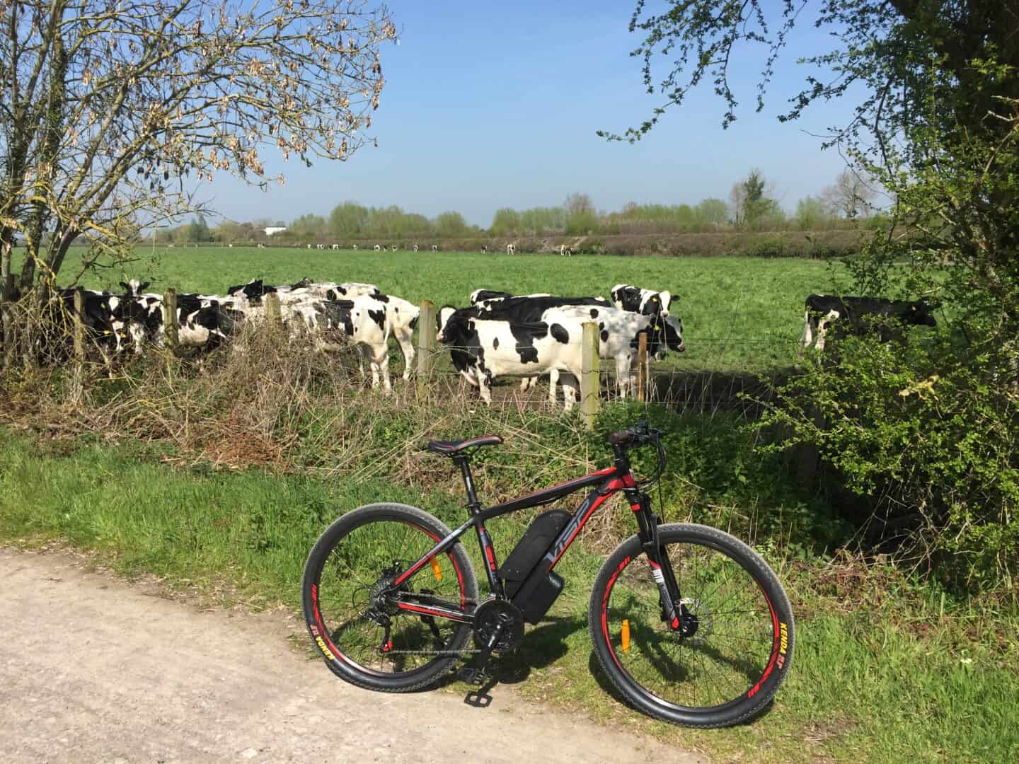 - JACs Electric Bikes